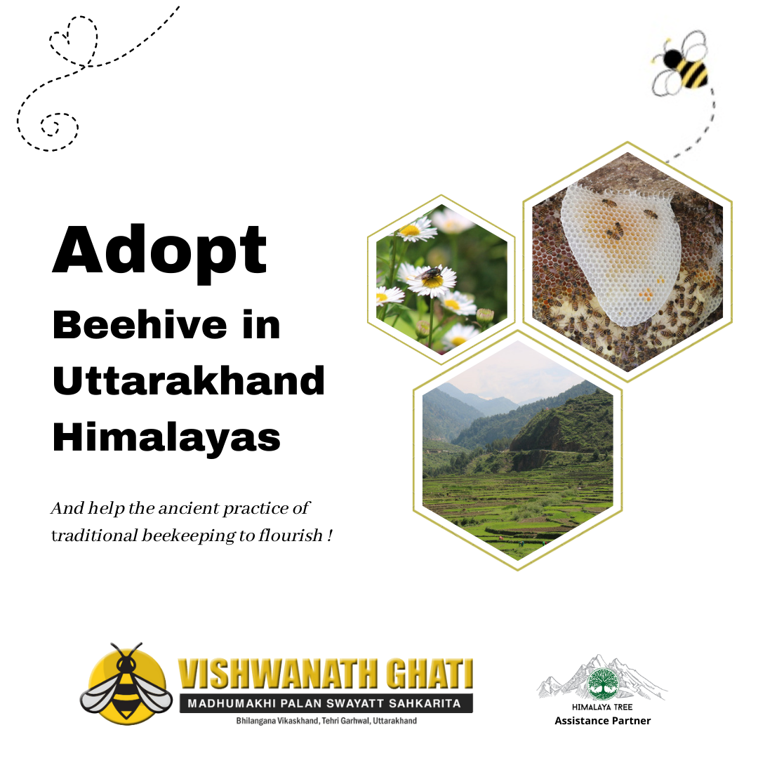 Social Responsibility / Adopt Beehive / Sponsor a Beekeeper – Himalaya Tree Social Responsibility / Adopt Beehive / Sponsor a Beekeeper – Himalaya Tree